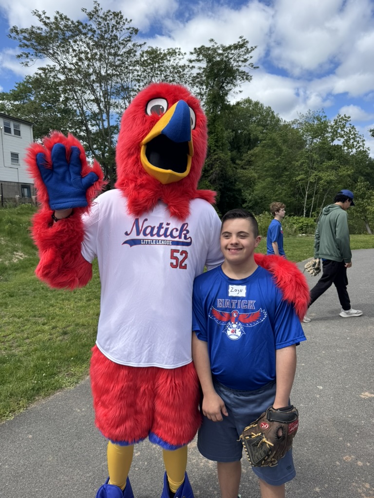 Rally for Natick - Support Natick Little League